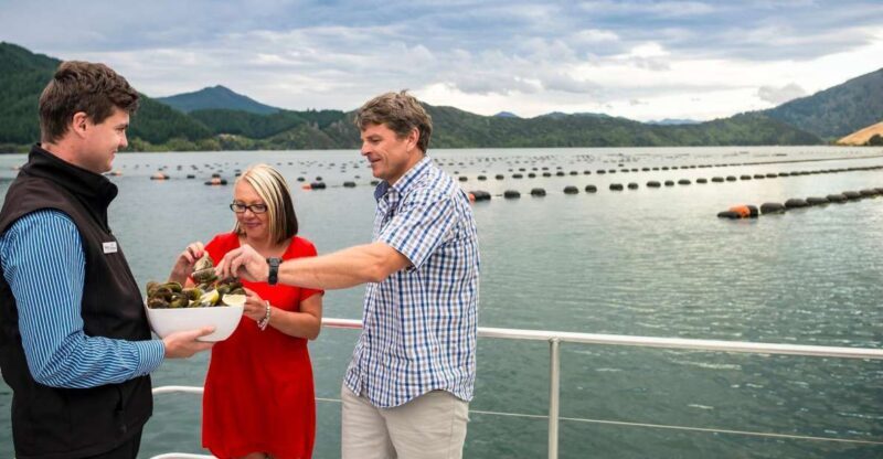 Marlborough Sounds: Greenshell Mussel Cruise - Final Thoughts