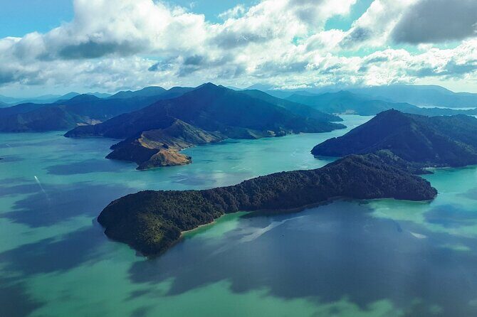 Marlborough Sounds Scenic - The Itinerary Breakdown: What to Expect