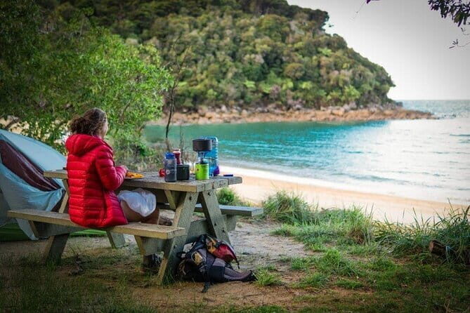 Marlborough Sounds Scenic - What Makes This Tour Stand Out?