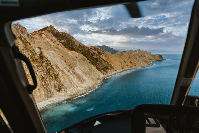 Marlborough Sounds Scenic - The Price Tag: Is It Worth It?