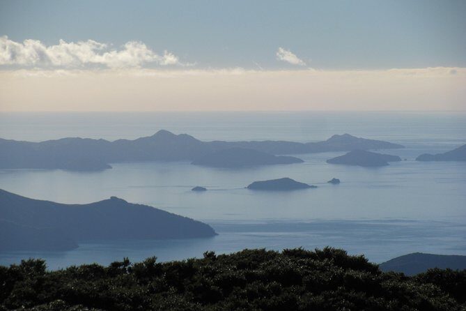 Marlborough Sounds Scenic - The Sum Up: Is It Worth It?
