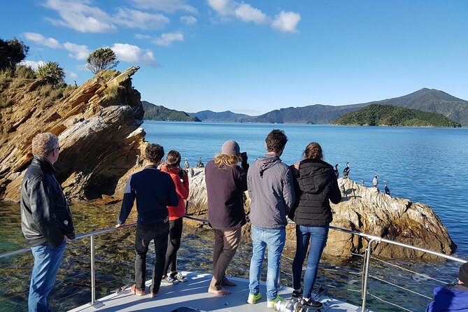 Marlborough Sounds Ultimate Cruise - FAQ