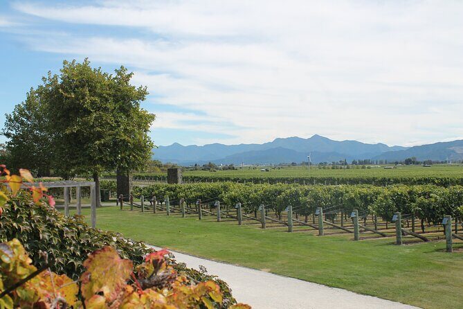 Marlborough Wine Tasting Tour. - FAQs