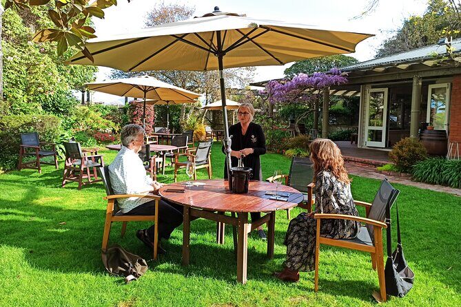 Marlborough Wine Tour - Discovery of Wine & Wine Only 4hrs - The Value of the Experience
