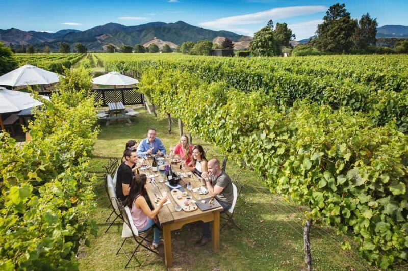 Marlborough Wine Tour: Including Cloudy Bay and Lunch - The Sum Up