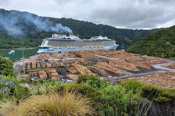 Marlborough Wine Tour - Picton Discovery Cruise Ship Tour - An Authentic Introduction to Marlborough’s Wine Region