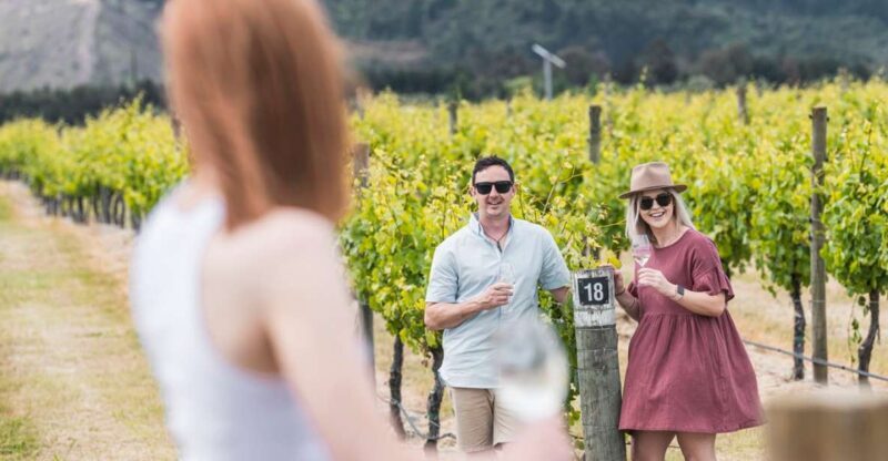 Marlborough: Wineries Visit with Tastings and 2-Course Lunch - The Itinerary in Detail: What to Expect