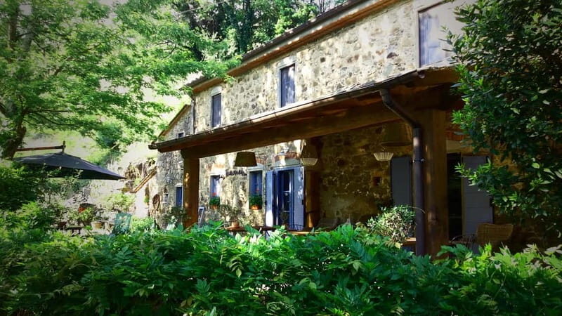 Marliana: Tuscan Olive Oil Tour with Dinner - What to Expect from Your Olive Oil Journey
