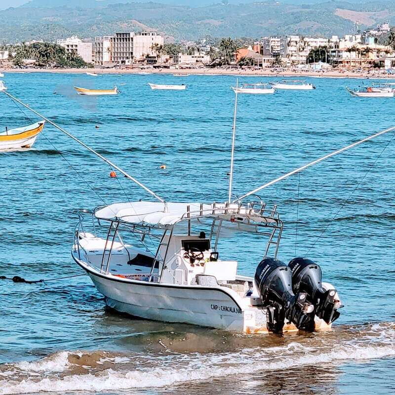 Marlin fishing in guayabitos - Introduction to the Guayabitos Marlin Fishing Tour