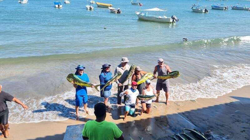 Marlin fishing in guayabitos - The Catch and Your Chance of Success