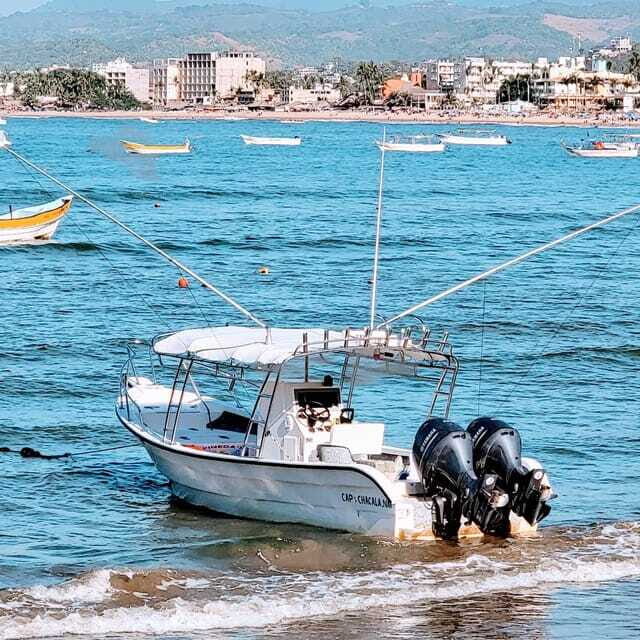 Marlin fishing in guayabitos - Additional Details and Practical Tips