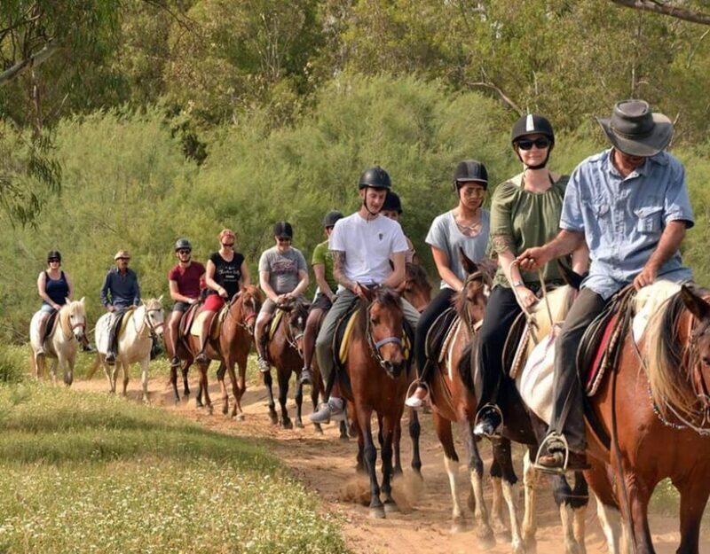 Marmaris: Horse Riding Experience with Hotel Transfers - The Overall Value