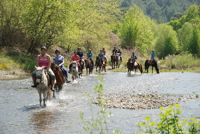 Marmaris: Horse Riding & Safari with Hotel Transfer - The Experience at the Ranch