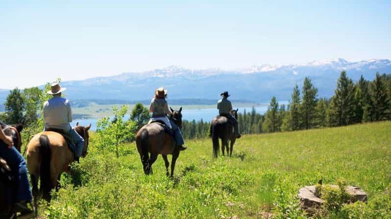 Marmaris Horse Safari - Key Points