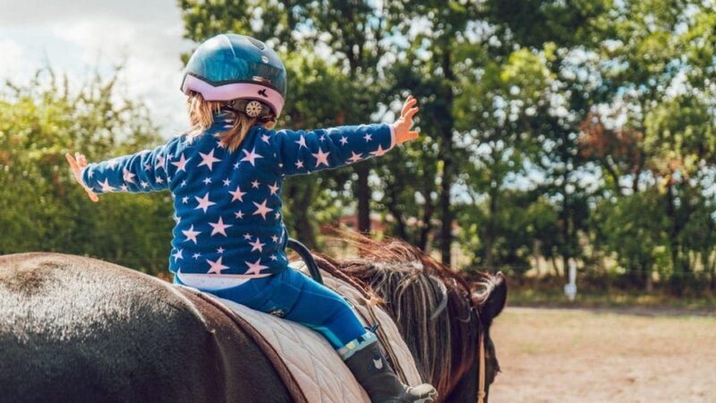 Marmaris Horse Safari - The Value and Who Should Consider It