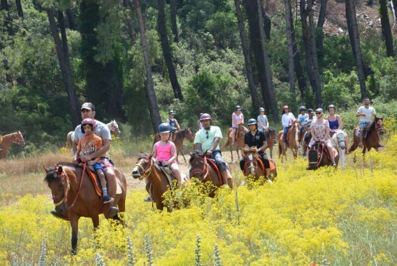 Marmaris: Horseback Riding in the Forest w/Hotel Pickup - Key Points