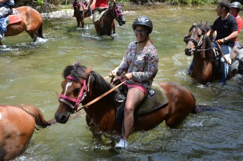 Marmaris: Horseback Riding in the Forest w/Hotel Pickup - FAQ