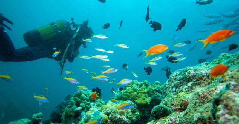 Marmaris: Scuba Diving with a Qualified Instructor - Key Points