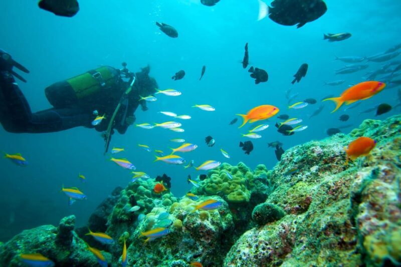 Marmaris: Scuba Diving with a Qualified Instructor - Diving Sites & Marine Environment