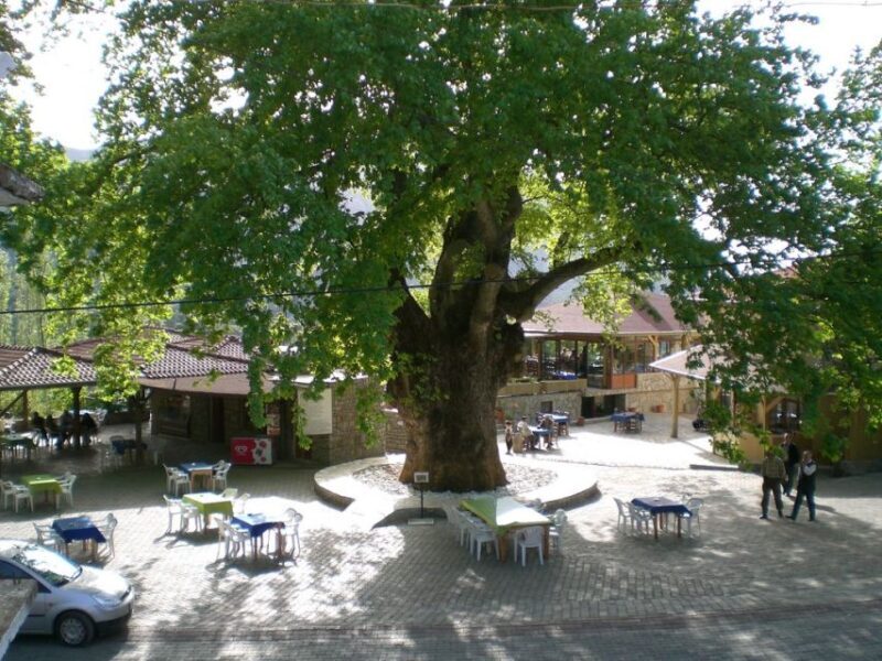 Marmaris Village Tour, Turgut Waterfalls and Mermaid Sand - Final Thoughts: Is It Worth It?