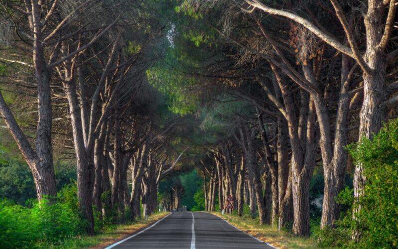 Marmaris: Yuvarlakcay and Akyaka Trip with Cruise and Lunch - The Sum Up