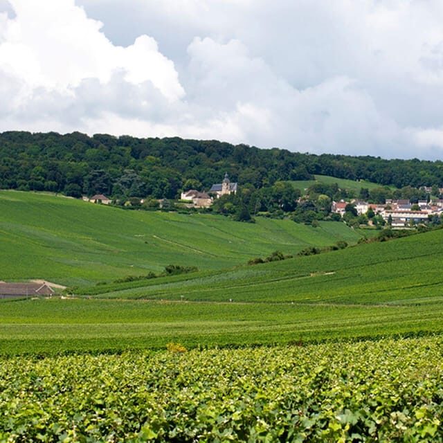 Marne: Champagne Region Private Day Tour with Lunch - Visiting a Champagne Winery: A Deep Dive into Bubbles