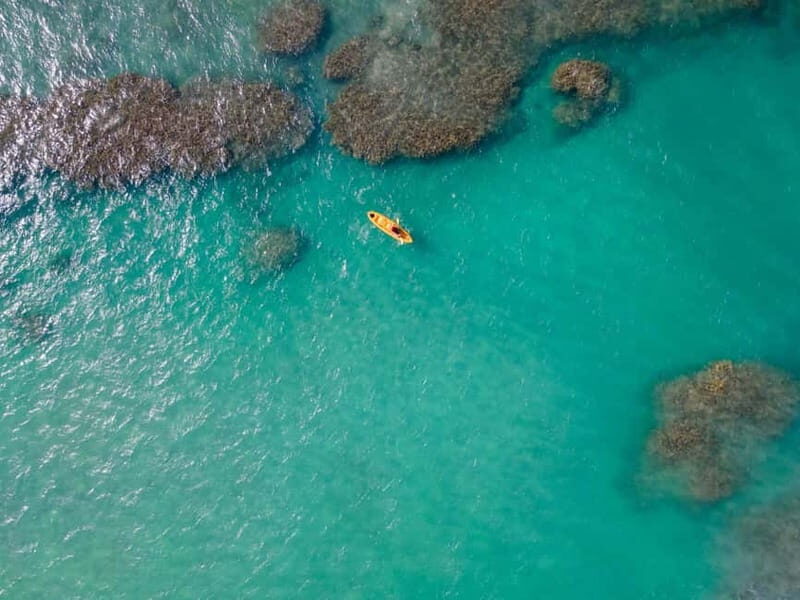 Maro Beach: Kayak rental by NT - The Experience: What Travelers Are Saying