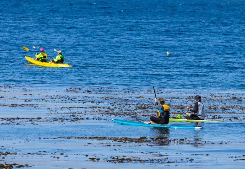 Maro Beach: Kayak rental by NT - Who Is This Experience Best For?