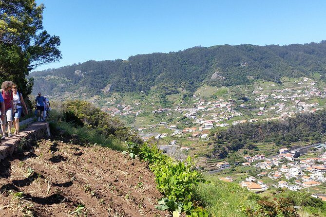 Maroços - Mimosa Valley - Key Points