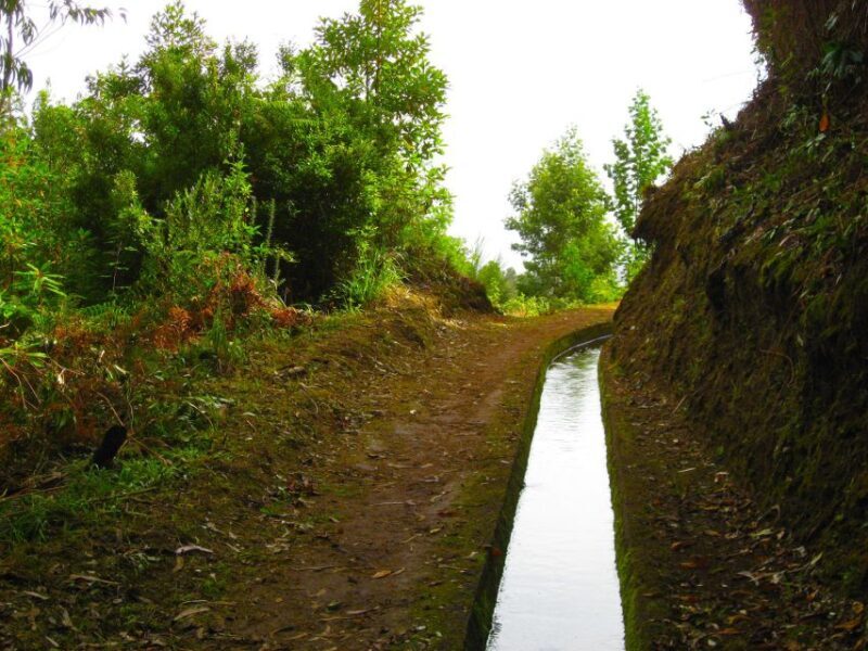 Maroços / Mimosa Valley - Levada Walk - A Closer Look at the Experience