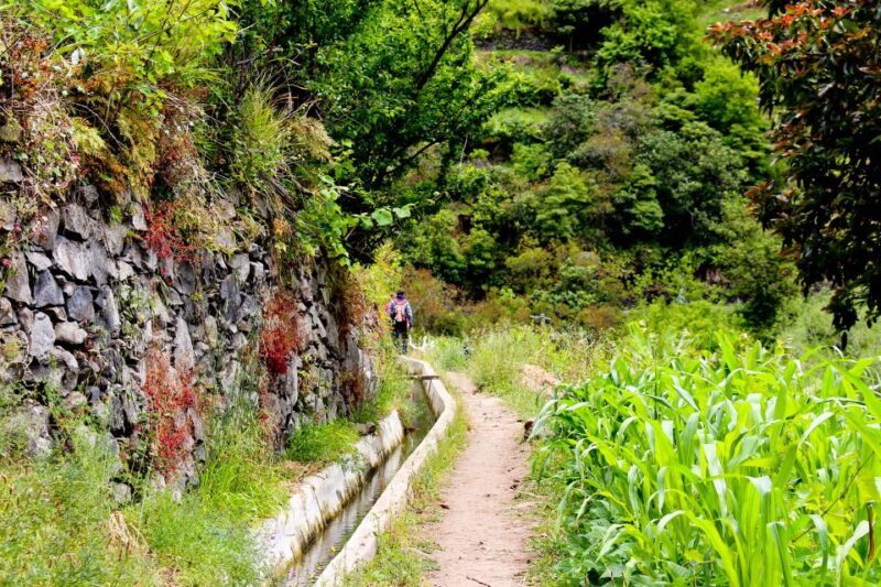 Maroços / Mimosa Valley - Levada Walk - FAQ