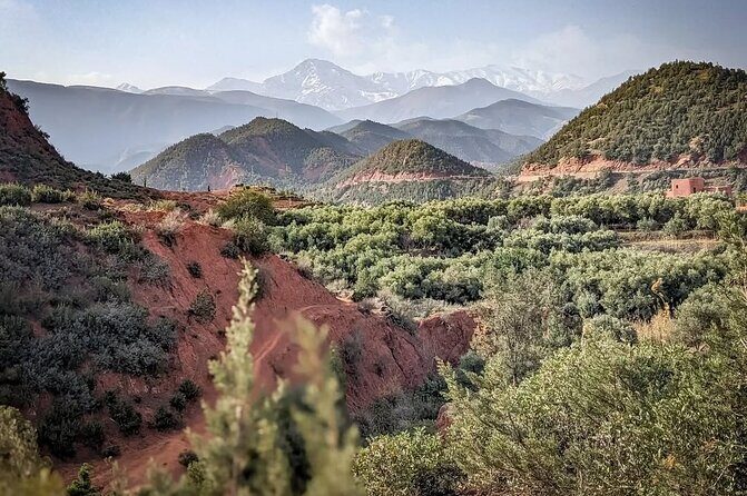 Marrakech: Ourika Valley, Atlas Mountains, Waterfall Hike & Lunch - Lunch with a View