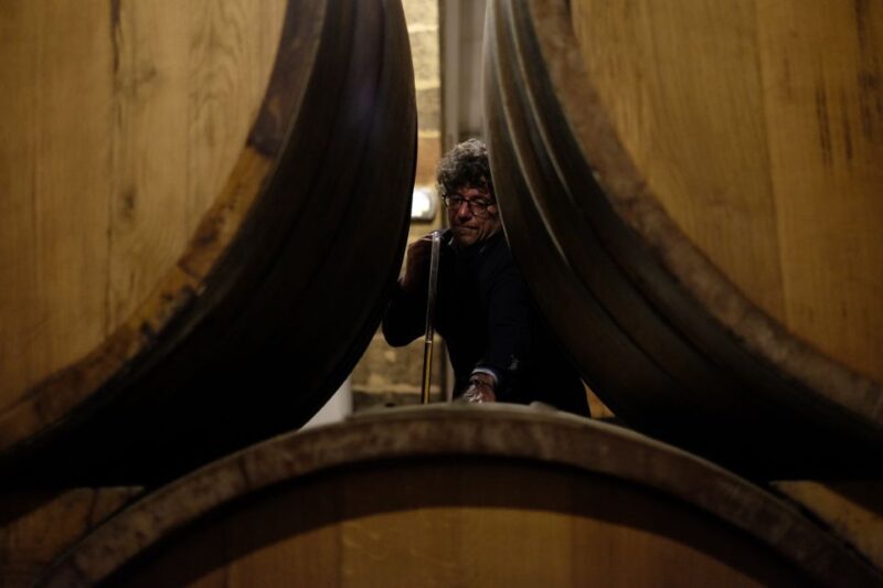 Marsala: Florio Winery Tour with Food-Paired Wine Tastings - The Value of This Tour