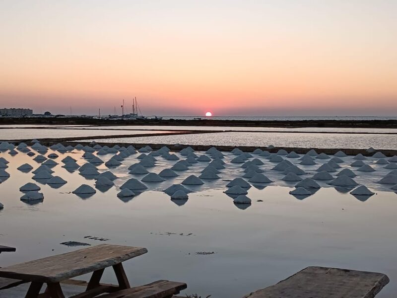 Marsala: Guided tour of the Genna Salt Pans - Why This Tour is a Good Value