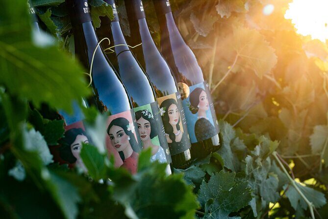 Marsala Tasting of 5 Sicilian organic wines - Introducing the Marsala Organic Wine Tasting Tour