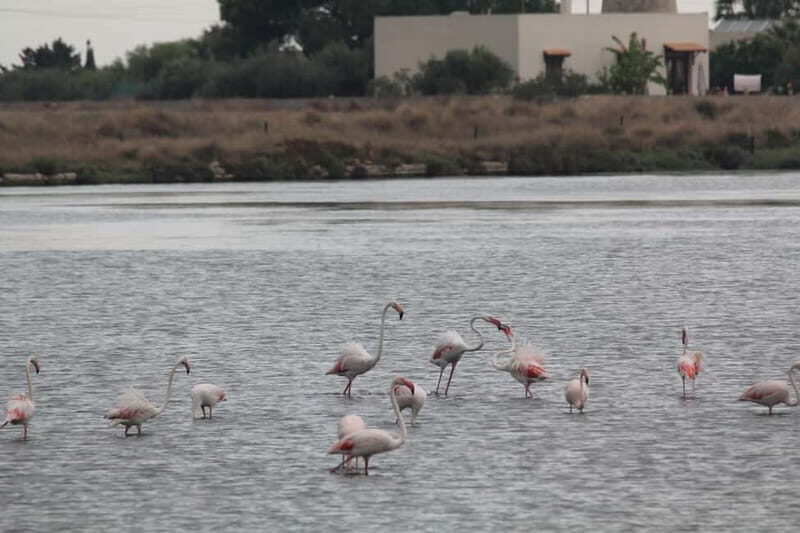 Marsala tour: Salt Road Tour Winery visit/tasting Boat Trip - The Small Details That Matter