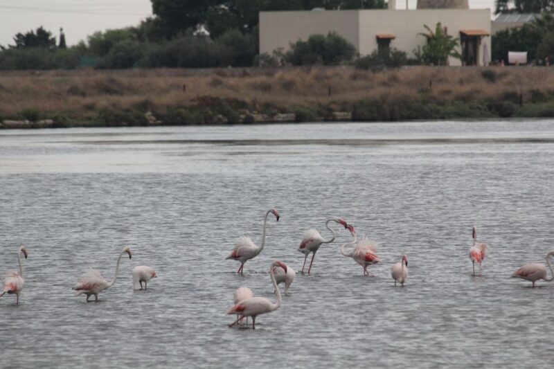 Marsala tour: Salt Road Tour Winery visit/tasting Boat Trip - FAQ