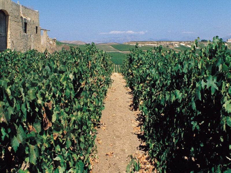 Marsala: Winery Tour with Wine Tasting and Local Products - What to Expect When You Arrive