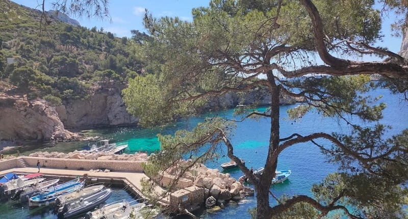 Marseille, Aix-en-Provence & Cassis 7-Hour Tour - Key Points