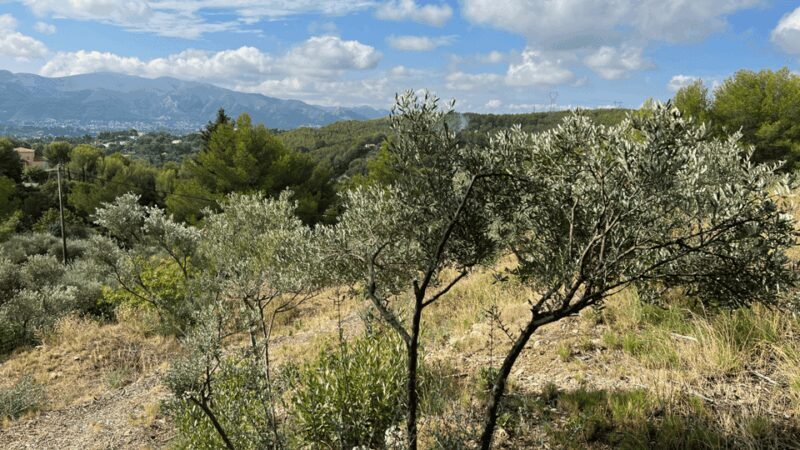 Marseille - Allauch: between tradition, history and nature - Authenticity and Natural Beauty