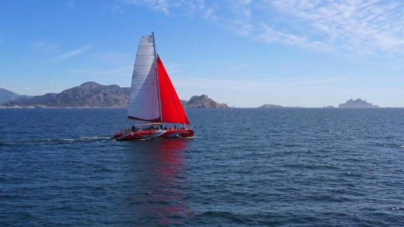 Marseille : Calanques Catamaran Cruise with Lunch & Wine - Who Would Love This Experience?