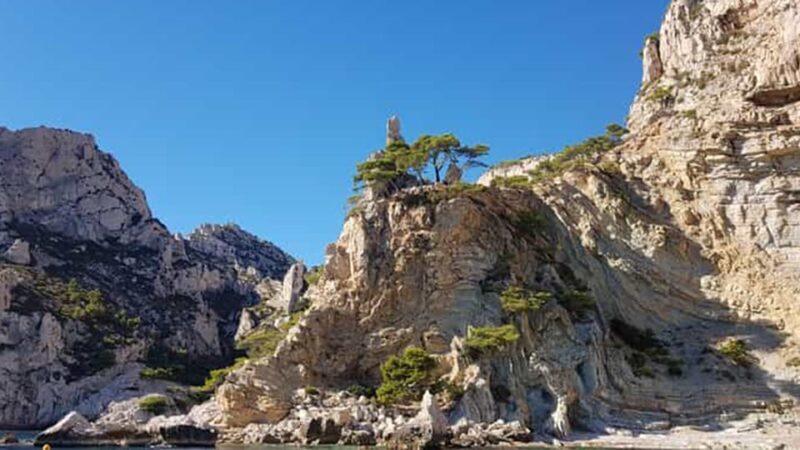 Marseille: Calanques National Park Eco-Friendly Cruise - An Inside Look at the Calanques National Park Eco-Friendly Cruise