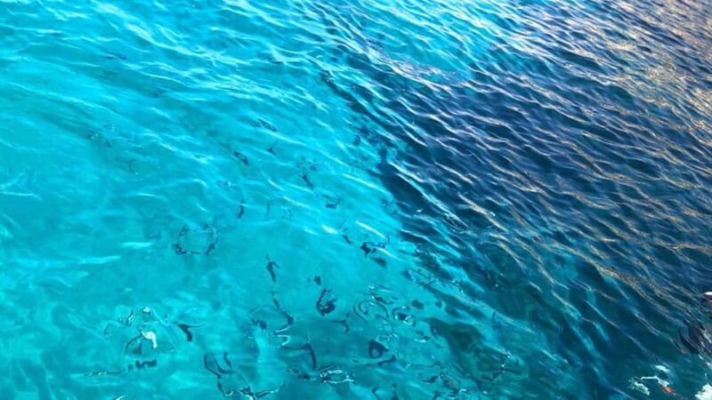 Marseille: Calanques National Park Eco-Friendly Cruise - Practical Details and Considerations