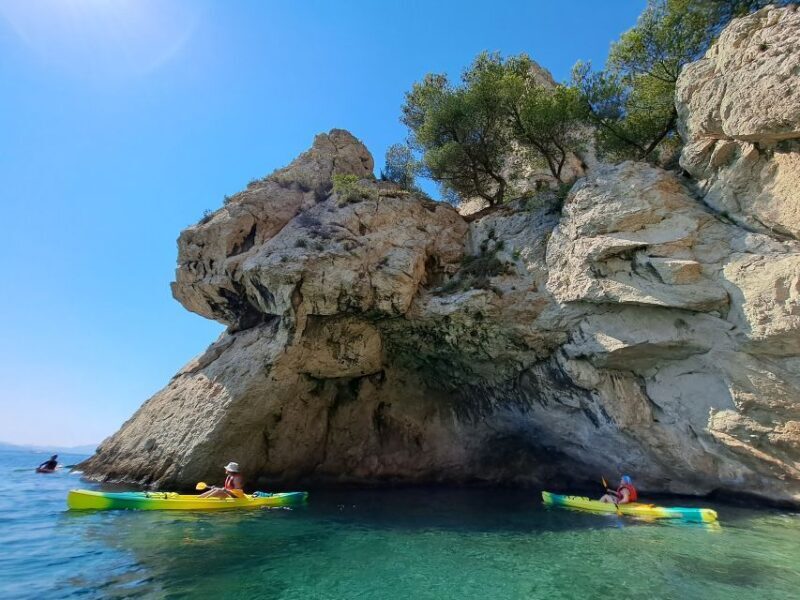 Marseille: Côte Bleue Calanques Half-Day Kayak Tour - The Experience for Different Paddlers