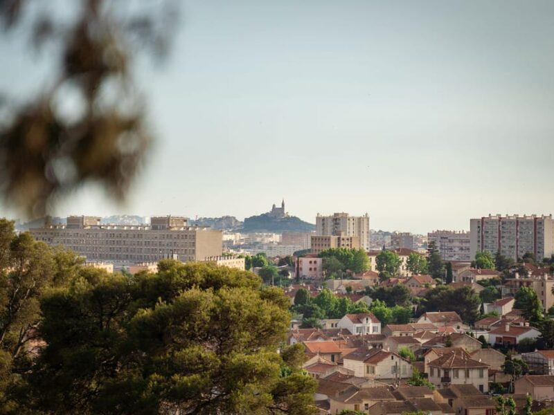 Marseille: Ecopark Adventures Treetop Adventure - What Makes This Experience Special?