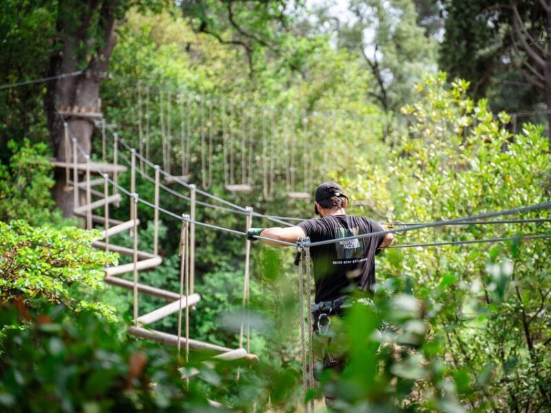 Marseille: Ecopark Adventures Treetop Adventure - Duration and Value for Money