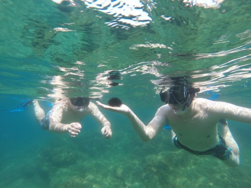 Marseille: Endoume Snorkeling Adventure with Snacks & Drinks - Practical Tips for Your Snorkeling Adventure