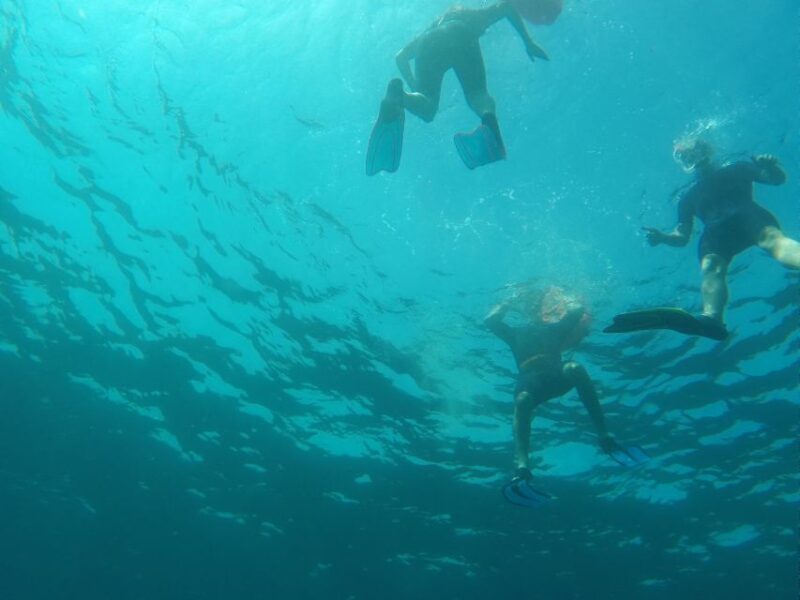 Marseille: Endoume Snorkeling Adventure with Snacks & Drinks - Additional Considerations