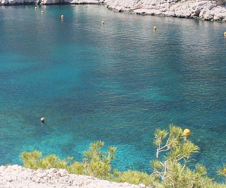 Marseille: Guided Hiking Calanques National Park from Luminy - Final Thoughts