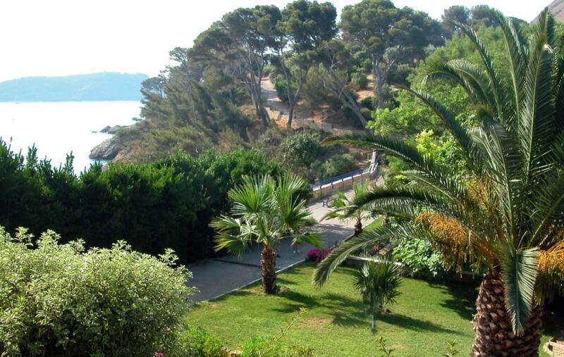 Marseille: La Ciotat Cinema & Nature Half Day Trip - Key Points
